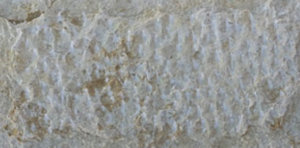 Ceramat | CREMA MEDITERRÁNEO RUSTIC